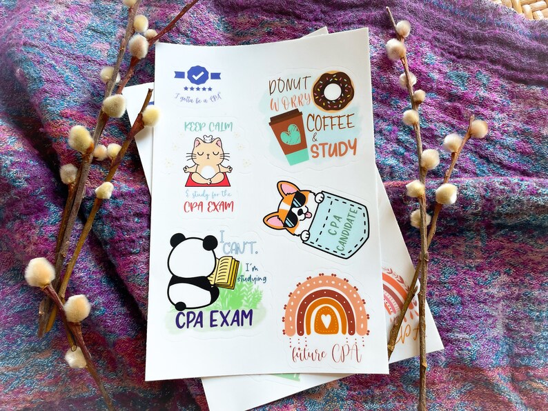 CPA Exam Sticker Bundle (6 Stickers on One Sheet) | Vinyl Sticker ...