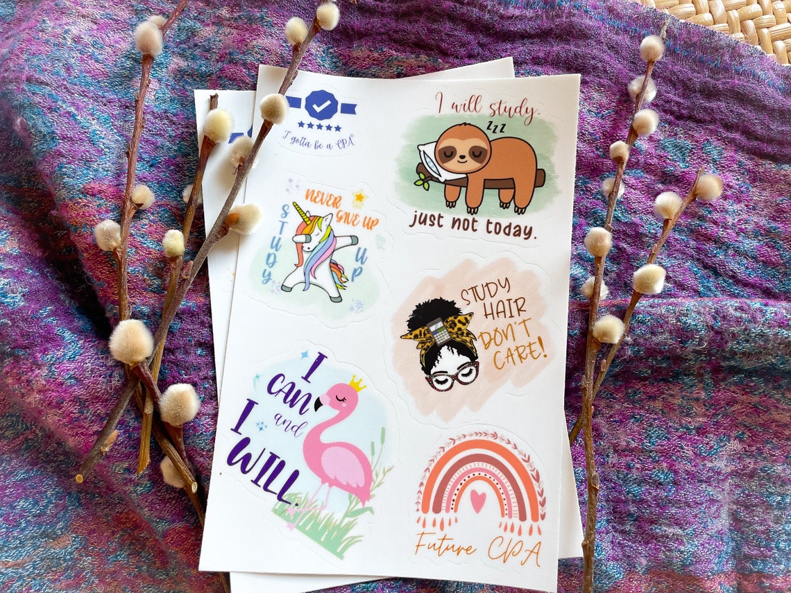 CPA Exam Sticker Bundle (6 Stickers on One Sheet) | Vinyl Sticker ...