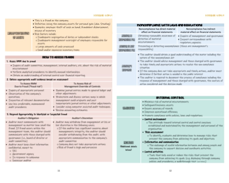 2024 | CPA Exam Review Notes - AUD | Digital Download | 37 Pages | 2024 ...