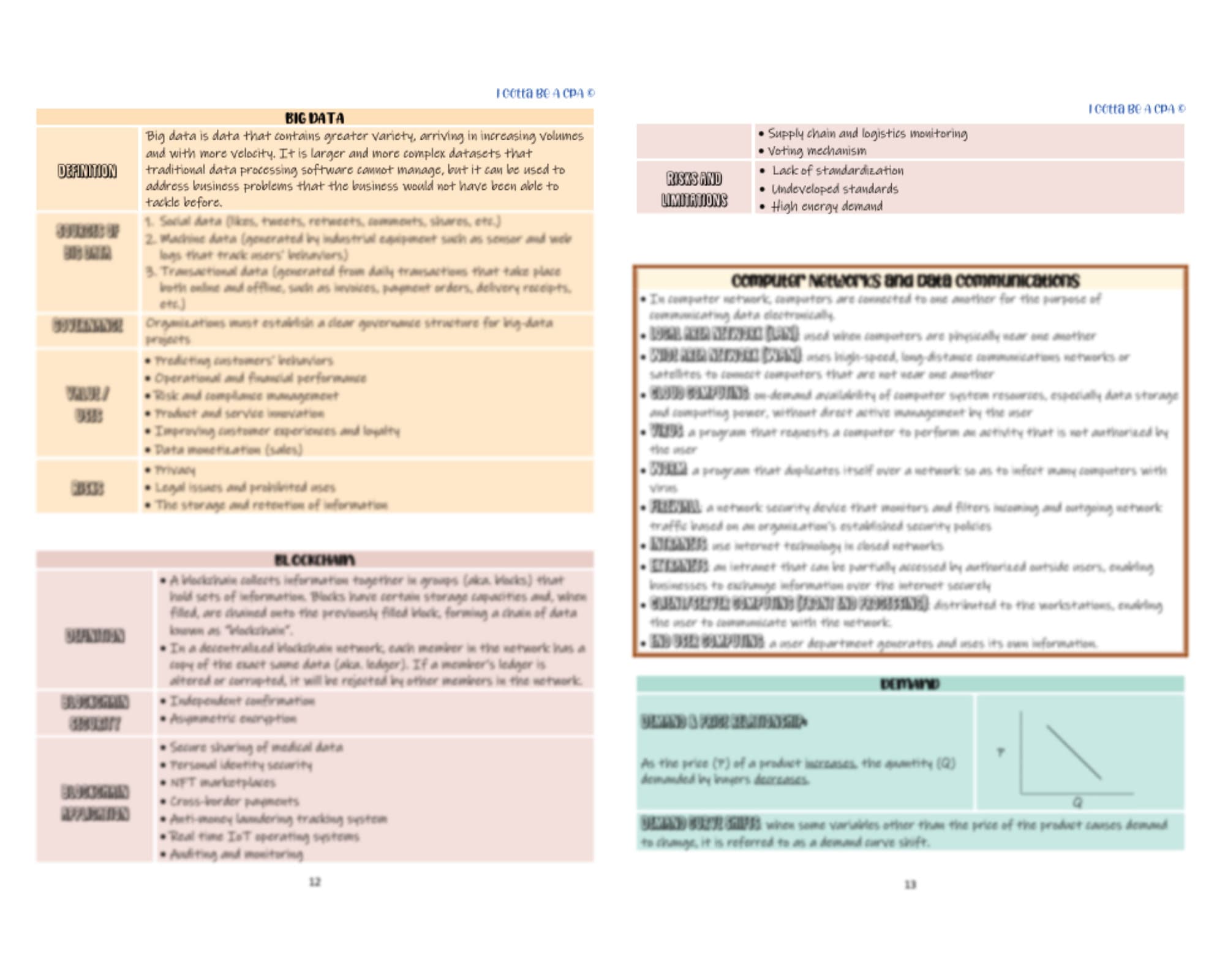2023 | CPA Exam Review Notes - BEC | Printed & Shipped | 35 Pages ...