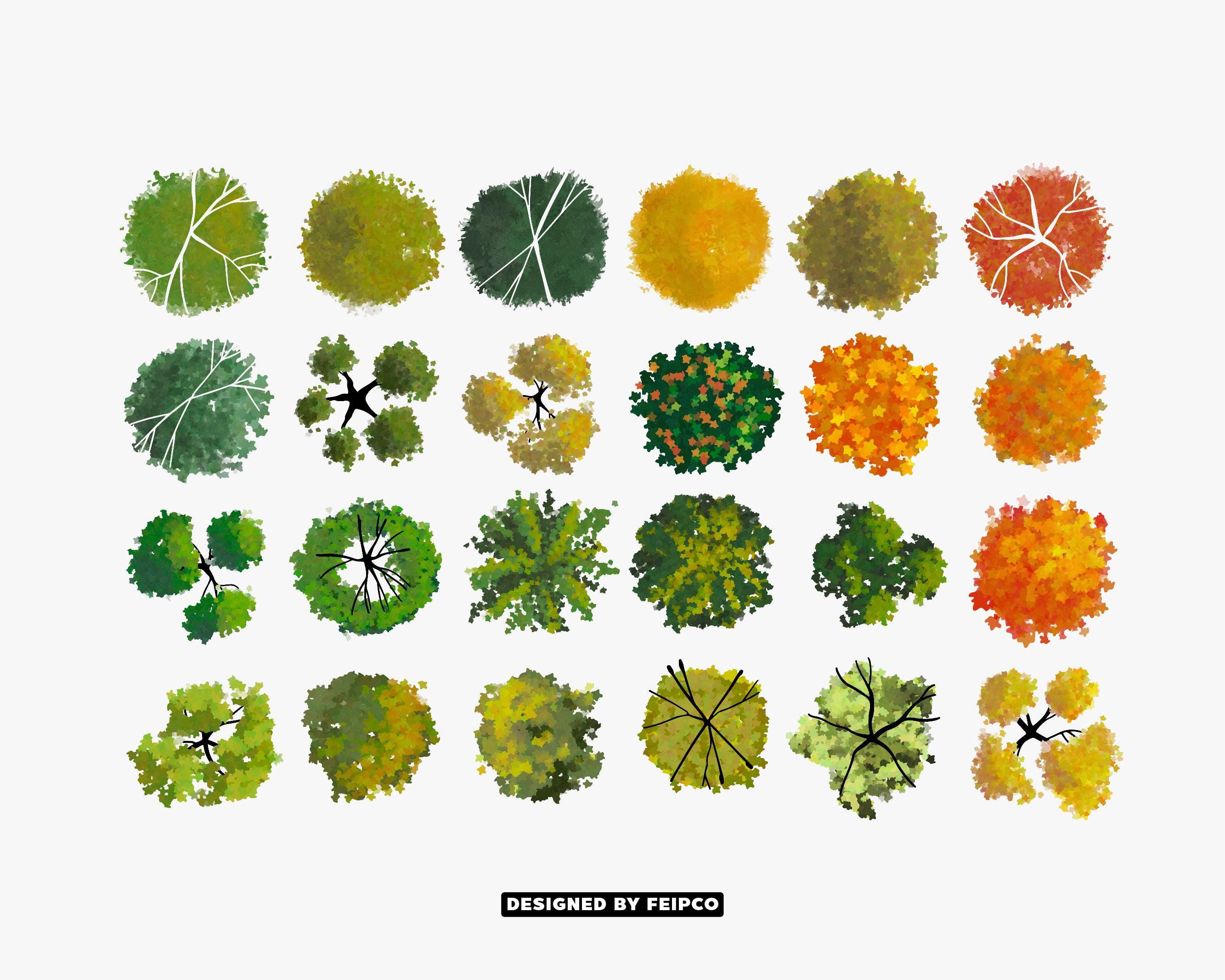 288 TREES PLAN Vector Pack (.ai, .png) - Etsy