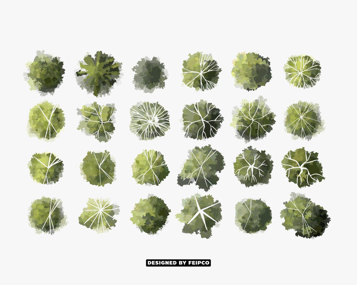 288 TREES PLAN Vector Pack (.ai, .png) - Etsy