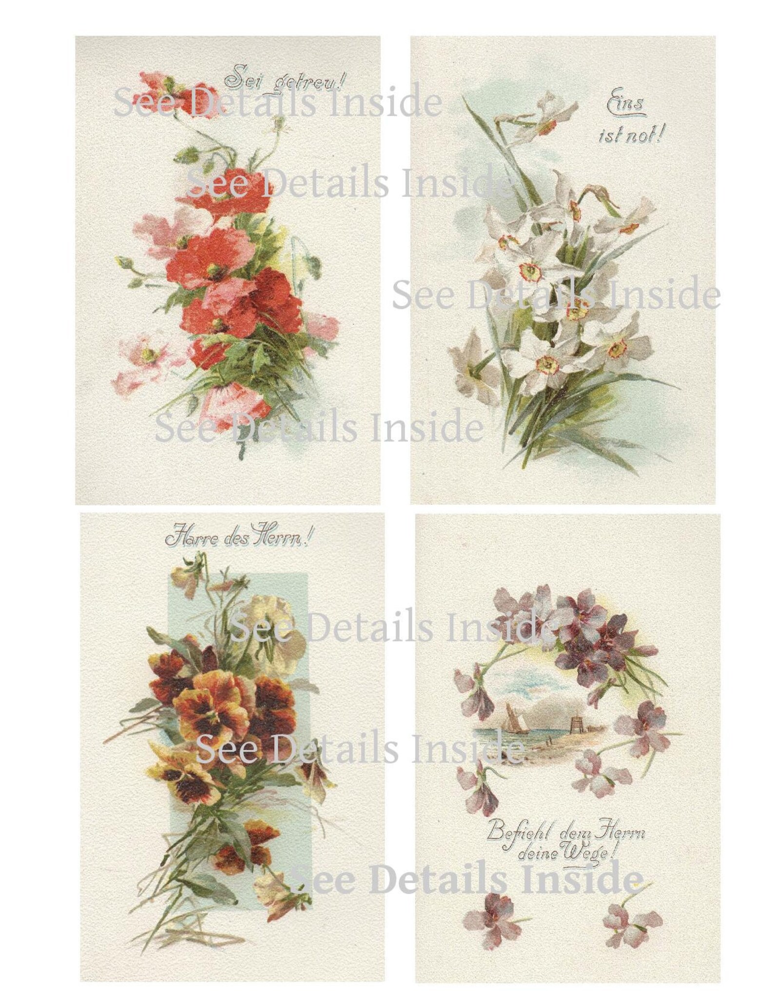 Digital Vintage German Religious Themed Flower Images Forget-me-not ...