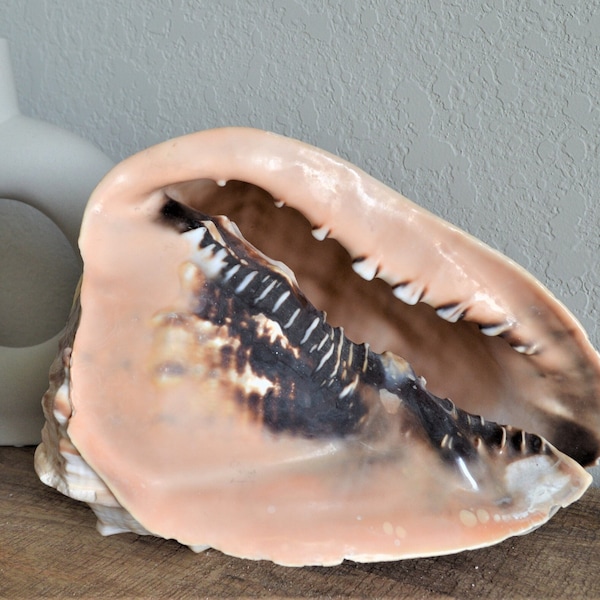 Large Queen Helmet Shell - Etsy