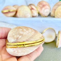 Shell Box - Seashell Ring Box /pill/coin Purse - Purple Clam Ring Box ...