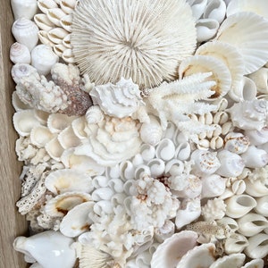 CORAL GARDENS Modern Coastal Wall Natural Textured Framed Seashells Sea ...