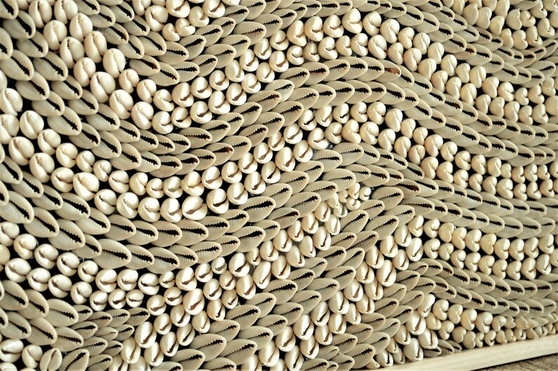 Dimensional Cowrie Seashell Minimalist Wall Art Abstract - Etsy