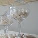Mixed White Seashells Beach Wedding Decor Sea Shells Assorted Display ...
