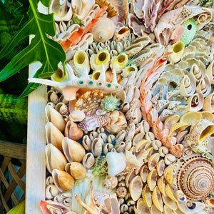 Handmade Abstract Sea Shell Coastal Wall Art 36x12" Natural Textured ...