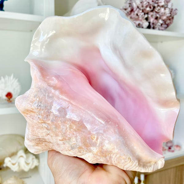 Blowing Horn - Etsy