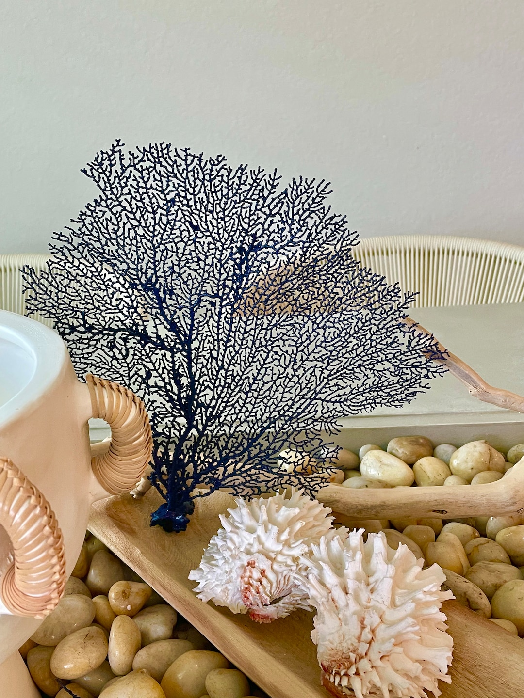 8-18” Navy Blue REAL Sea Fans Painted Ocean Reef Natural Beach Coastal ...