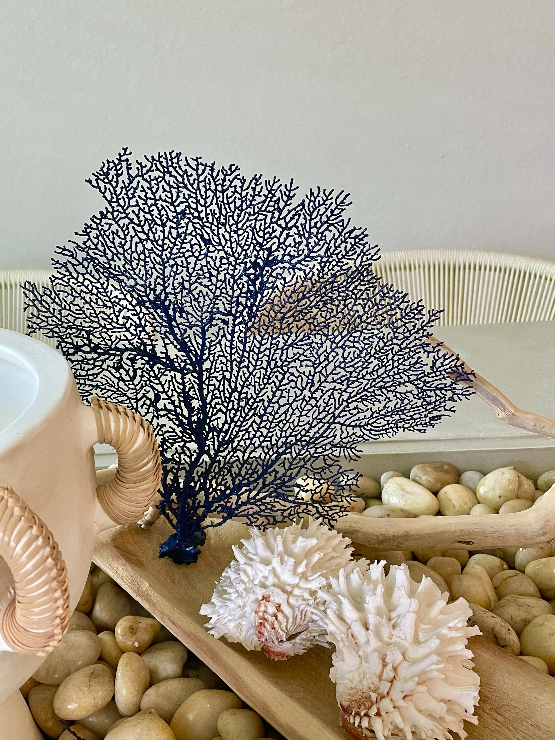 8-18 Navy Blue REAL Sea Fans Painted Ocean Reef Natural Beach - Etsy