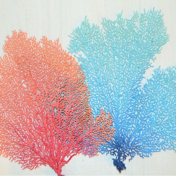 Blue Sea Fan - Etsy