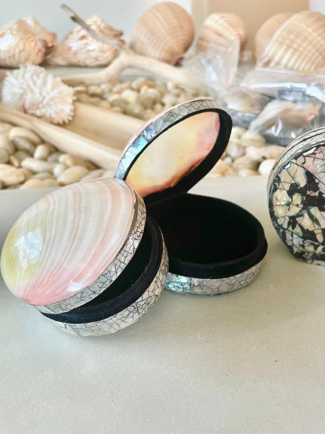 Coastal Gift Box Polished Clam Shell Irredescent Seashell Jewelry Box ...