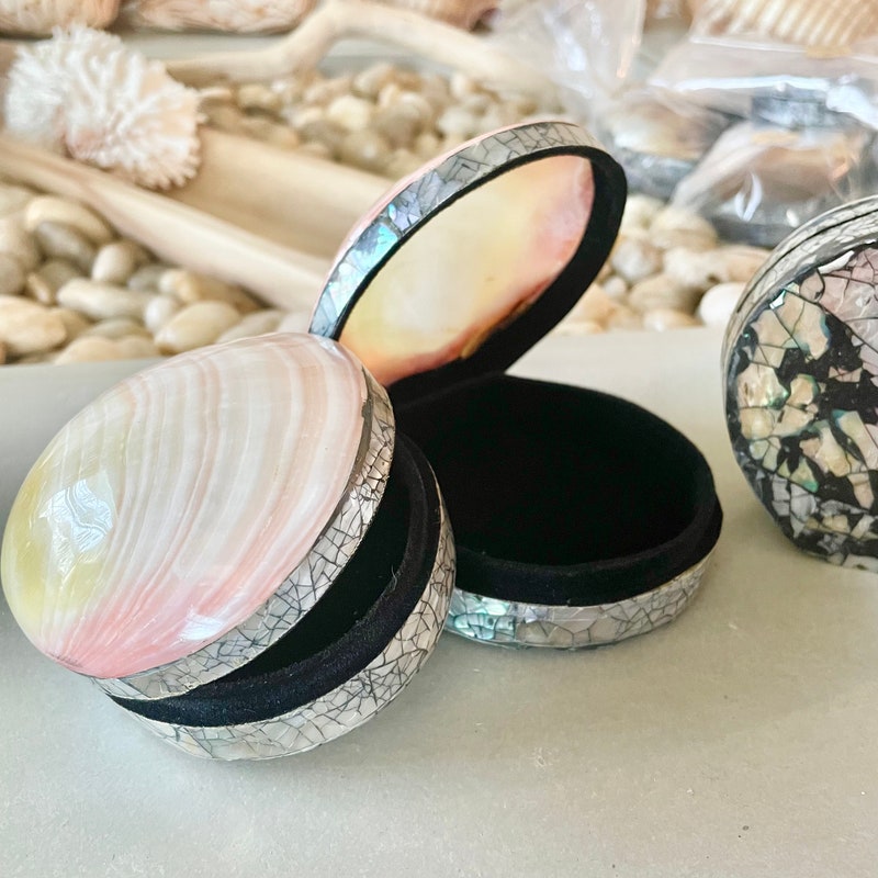 Large Jewelry Box Shells - Etsy