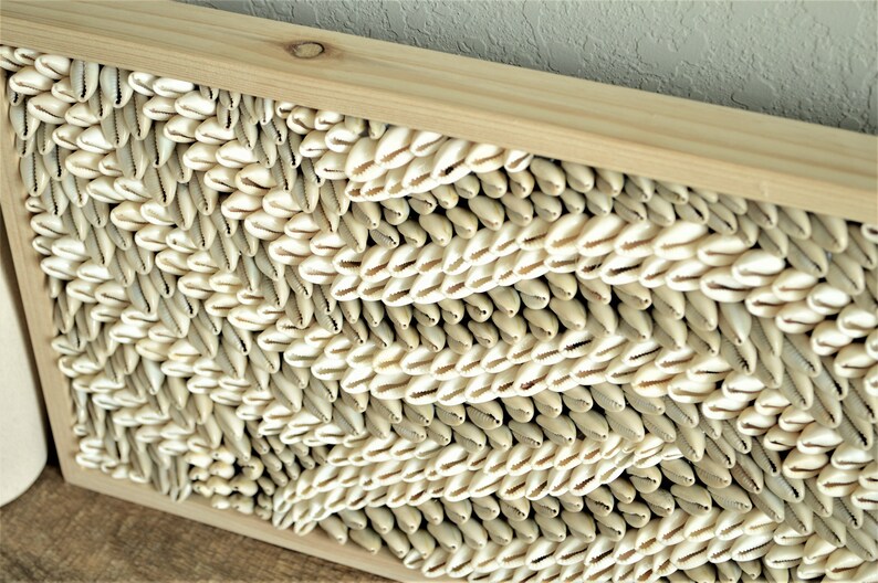 Dimensional Cowrie Seashell Minimalist Wall Art Abstract - Etsy