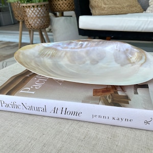 Giant Mussel Shell Half's *all Sizes* Polished Mother of Pearl ...