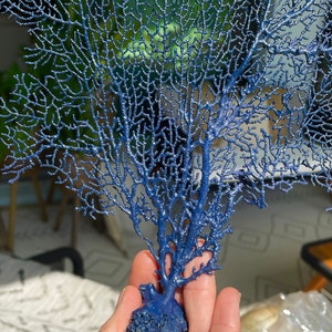 Navy Blue Sea Fan (8-20") *you Choose Size* Natural Hand Painted ...