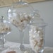 Mixed White Seashells Beach Wedding Decor Sea Shells Assorted Display ...