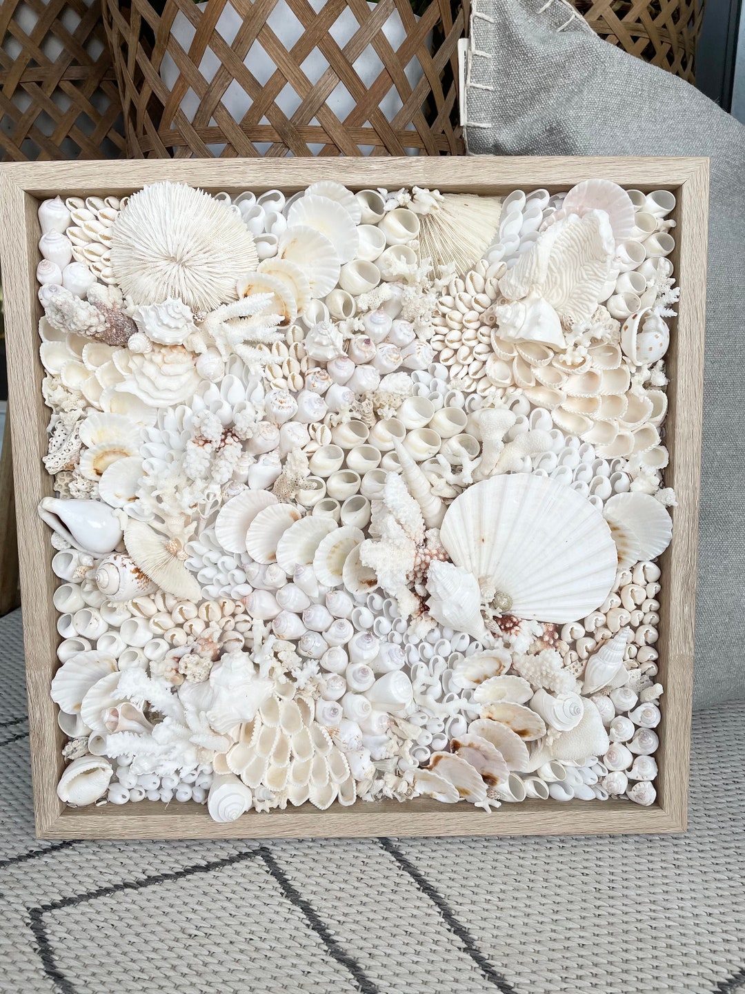 CORAL GARDENS Modern Coastal Wall Natural Textured Framed Seashells Sea ...
