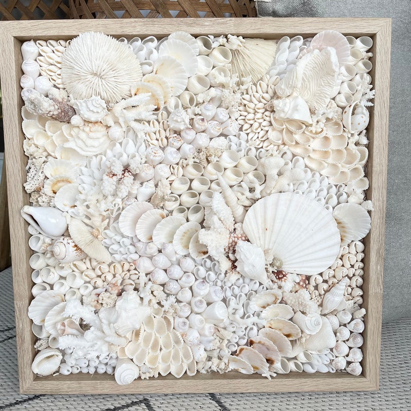 Sea Shell Wall Art - Etsy