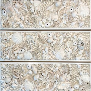 Organic Seashell Wall Art Coastal Natural REAL Shells Urchins Coral ...