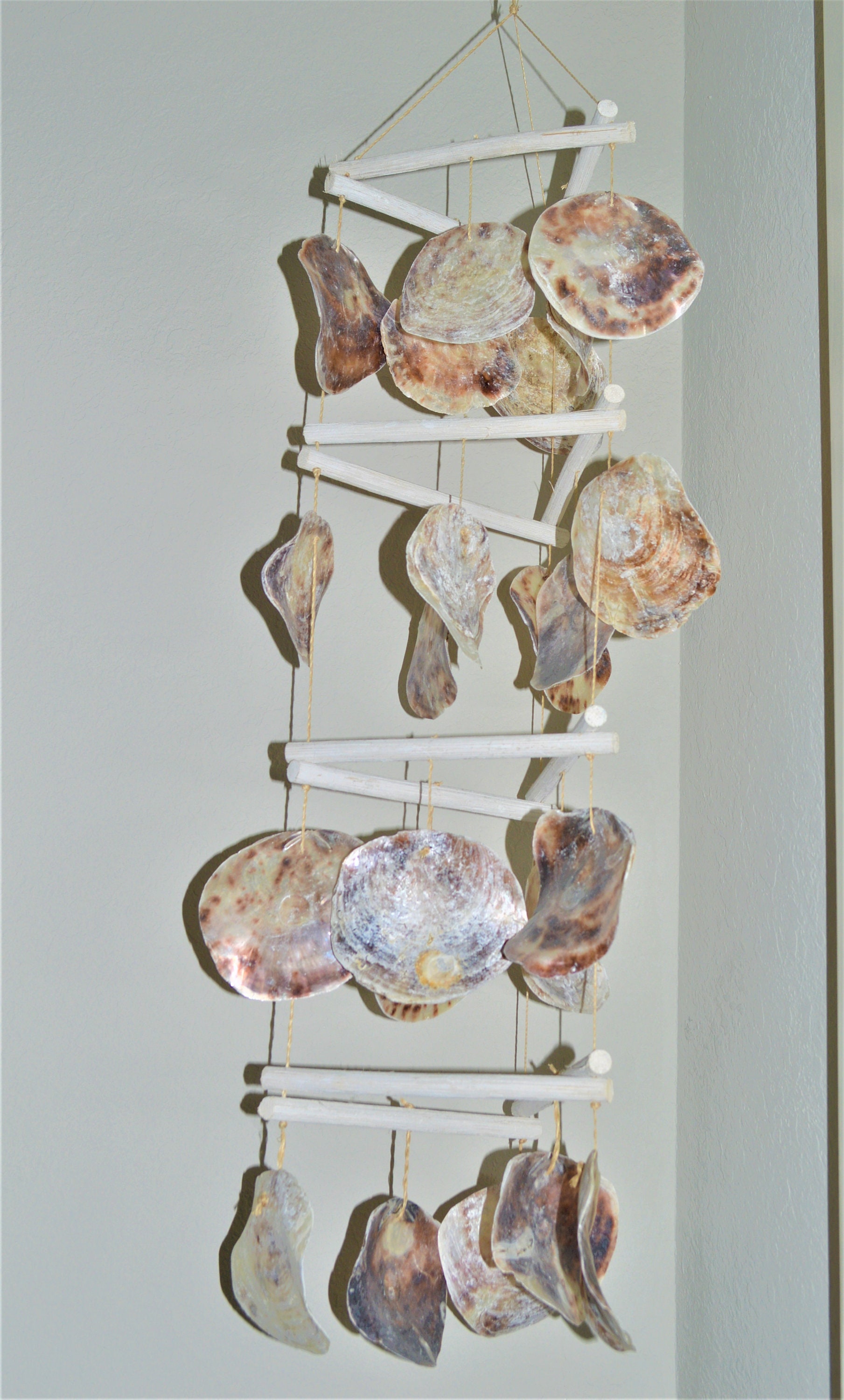 SADDLE OYSTER SHELLS 4-6" Natural Purple Color Craft Seashells Coastal ...