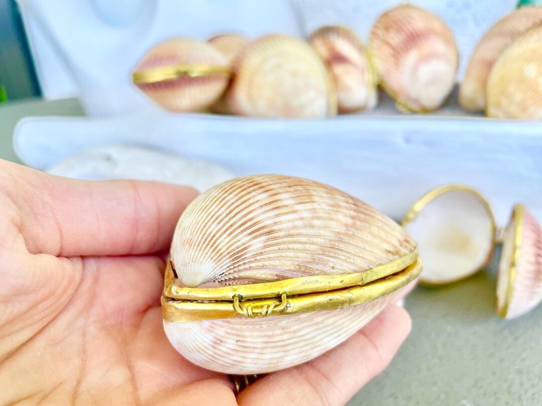 Authentic Vintage 3" Long Seashell Ring Box Brass Hinge Jewelry Elegant ...