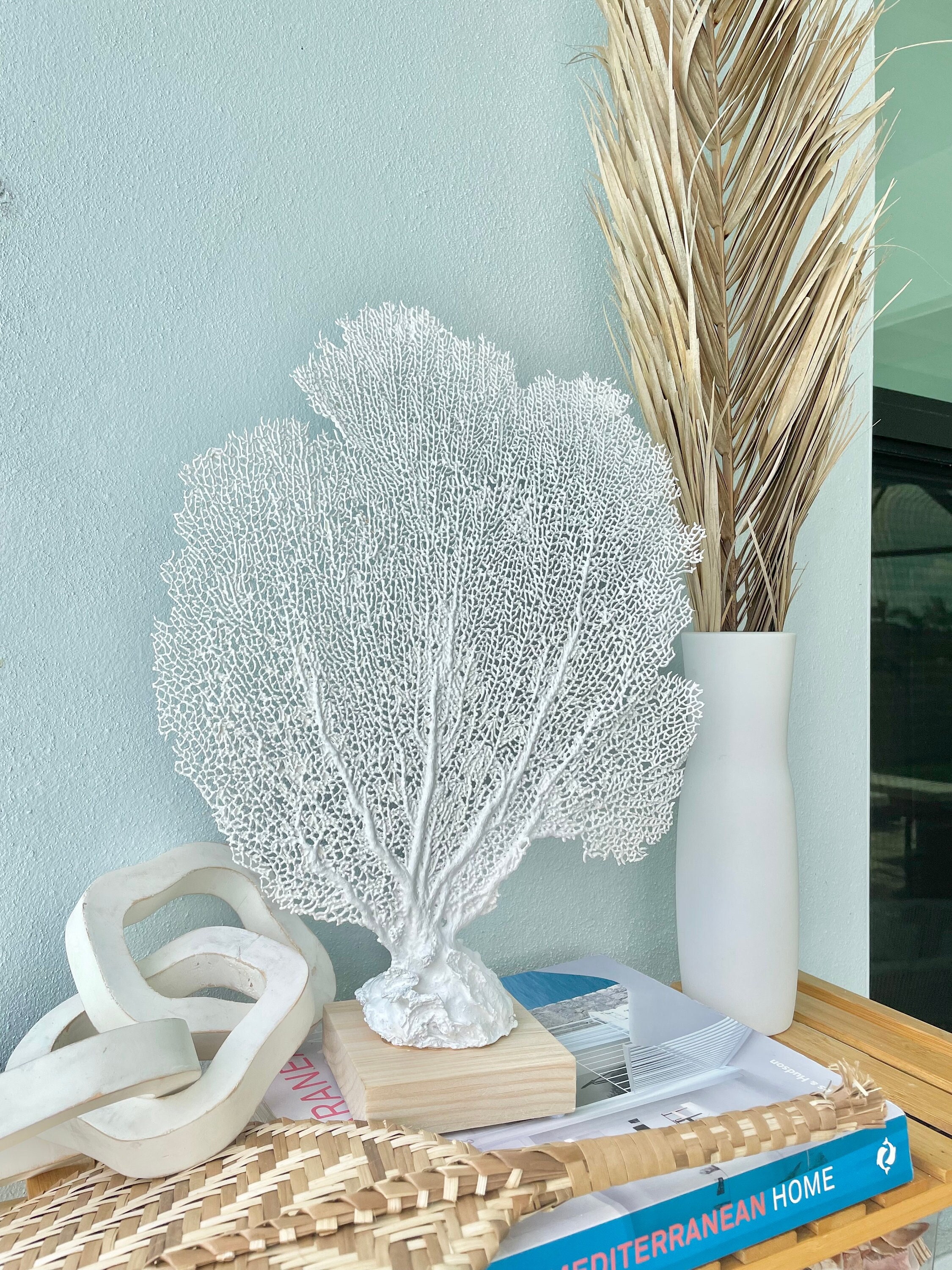 Sea Fans On Base