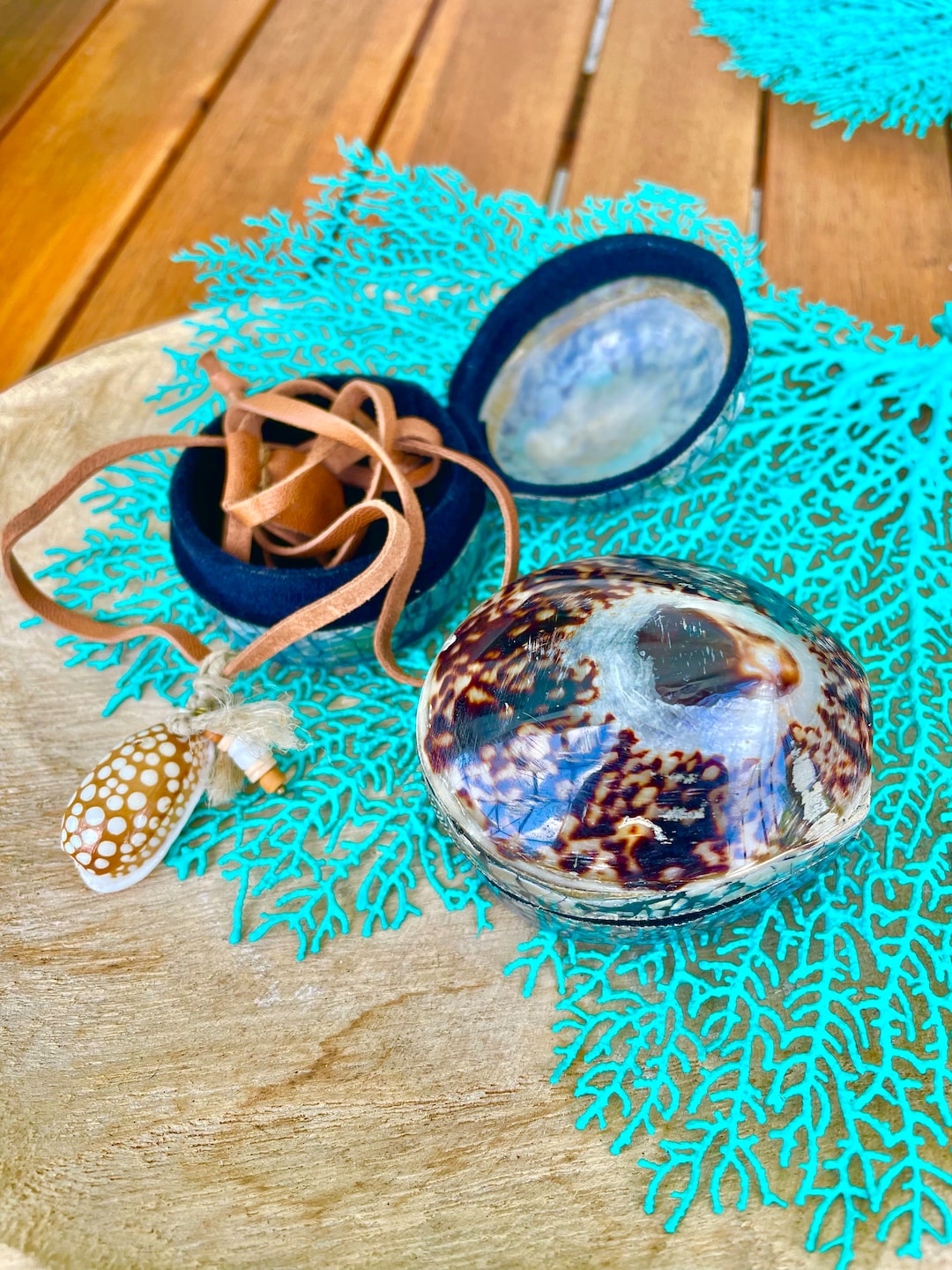 Coastal Gift Box Brown Limpet Ring Box Shell Irredescent Seashell ...