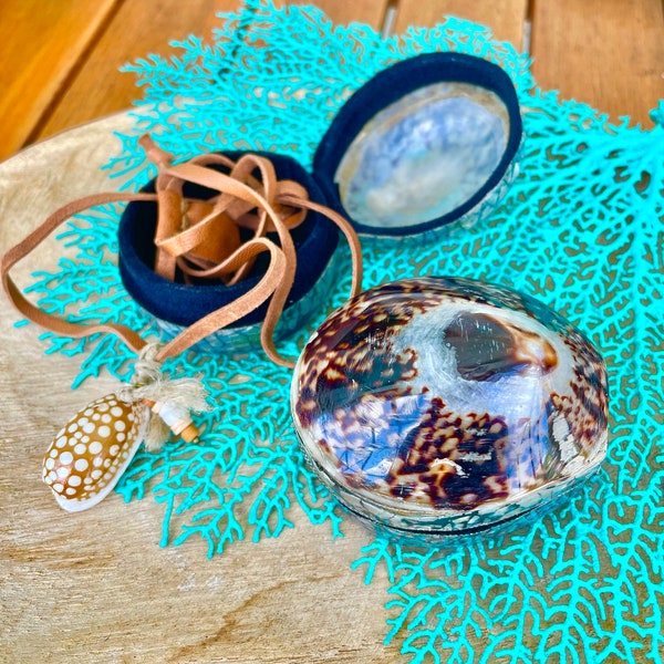 Seashell Jewelry Box - Etsy