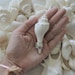 Mixed White Seashells Beach Wedding Decor Sea Shells Assorted Display ...