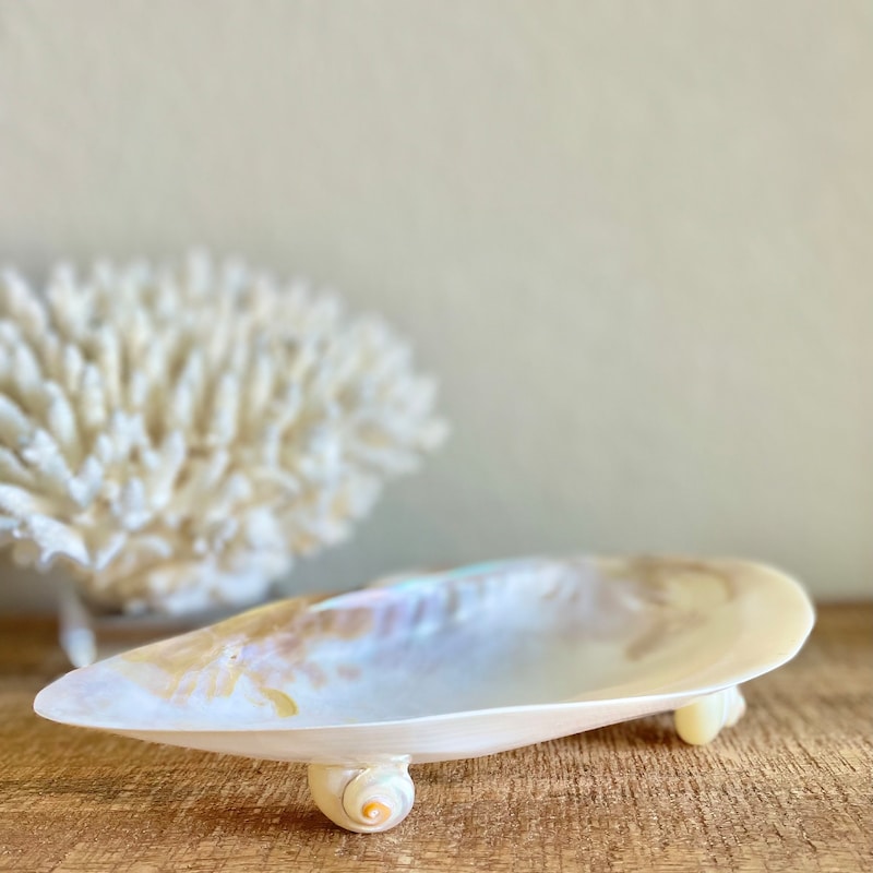 Large Shell Dish Silver - Etsy