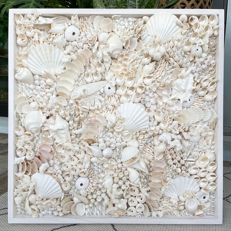 Wall Art Seashell - Etsy