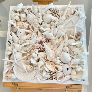 Handmade Seashell Collage Wall Art: Natural Coastal Home Decor White - Etsy