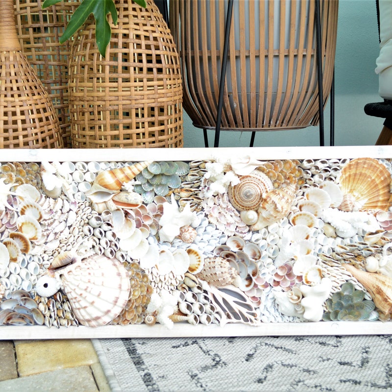 Shell Wall Art - Etsy