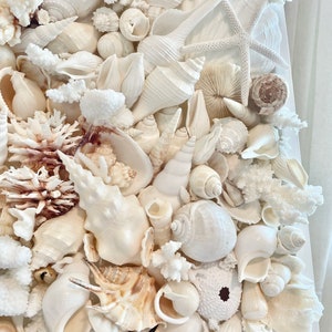 Handmade Seashell Collage Wall Art: Natural Coastal Home Decor White - Etsy