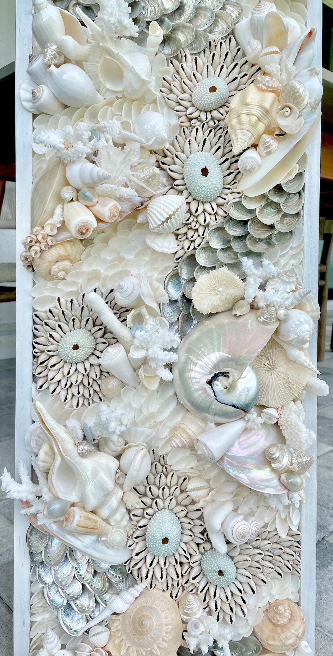 Powder Blue Pearl Seashell Modern Coastal Wall Art Natural Textured Sea ...