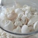 Mixed White Seashells Beach Wedding Decor Sea Shells Assorted Display ...