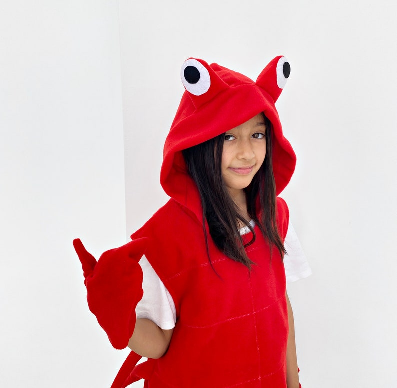 Kids' Red Crab Costume, Lobster Halloween Outfit, Crab and Claw Set ...
