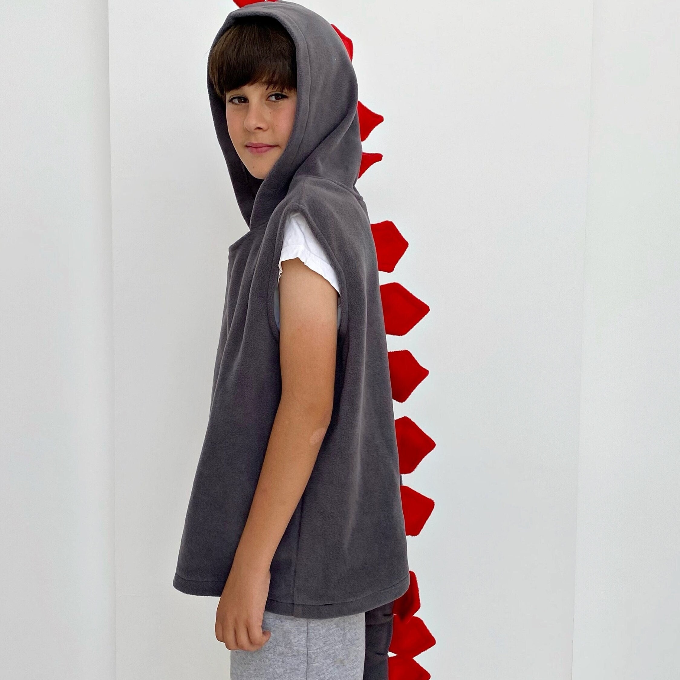Dinosaur Tail Costume, Tail-wearing Dinosaur Vest, Halloween Dino ...