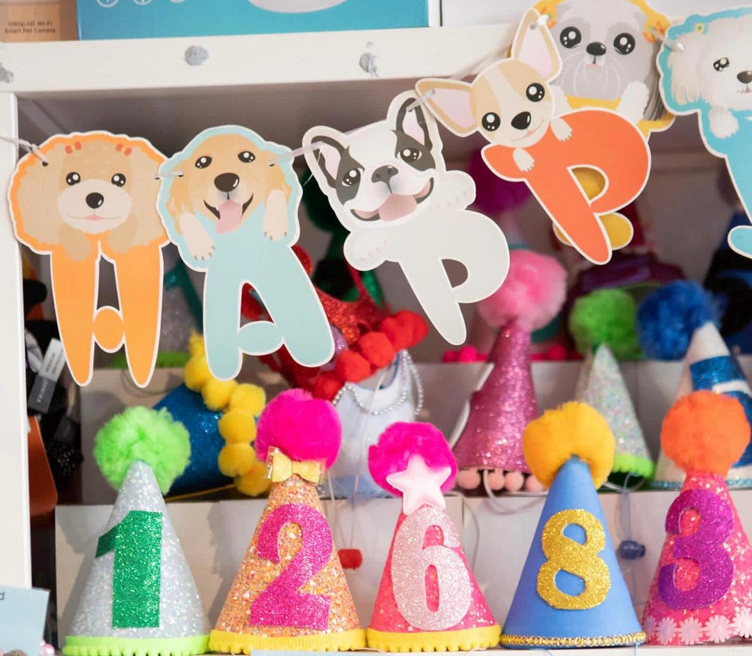 Birthday Party Hat for Dogs - Etsy