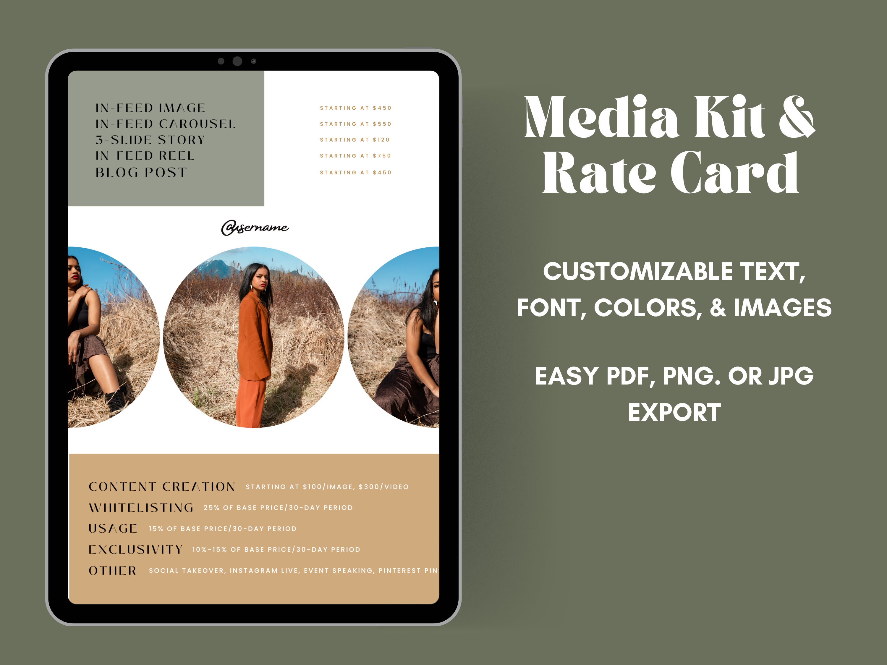 2 Page Media Kit, Rate Card Template, Influencer Media Kit, Blogger ...