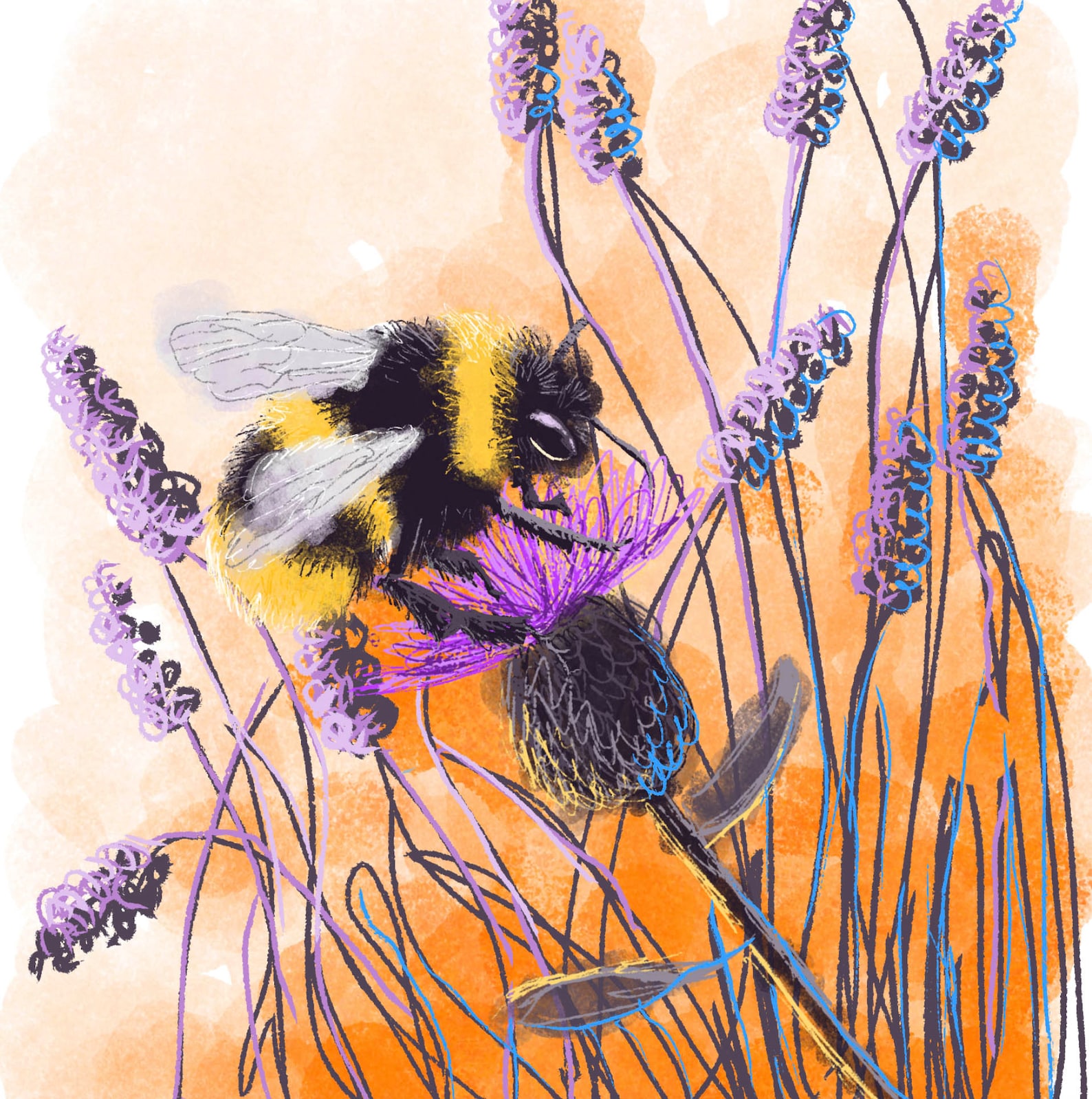 SQ 21cm Hand gezeichnet Hummel Insekt Giclée Fine Art | Etsy