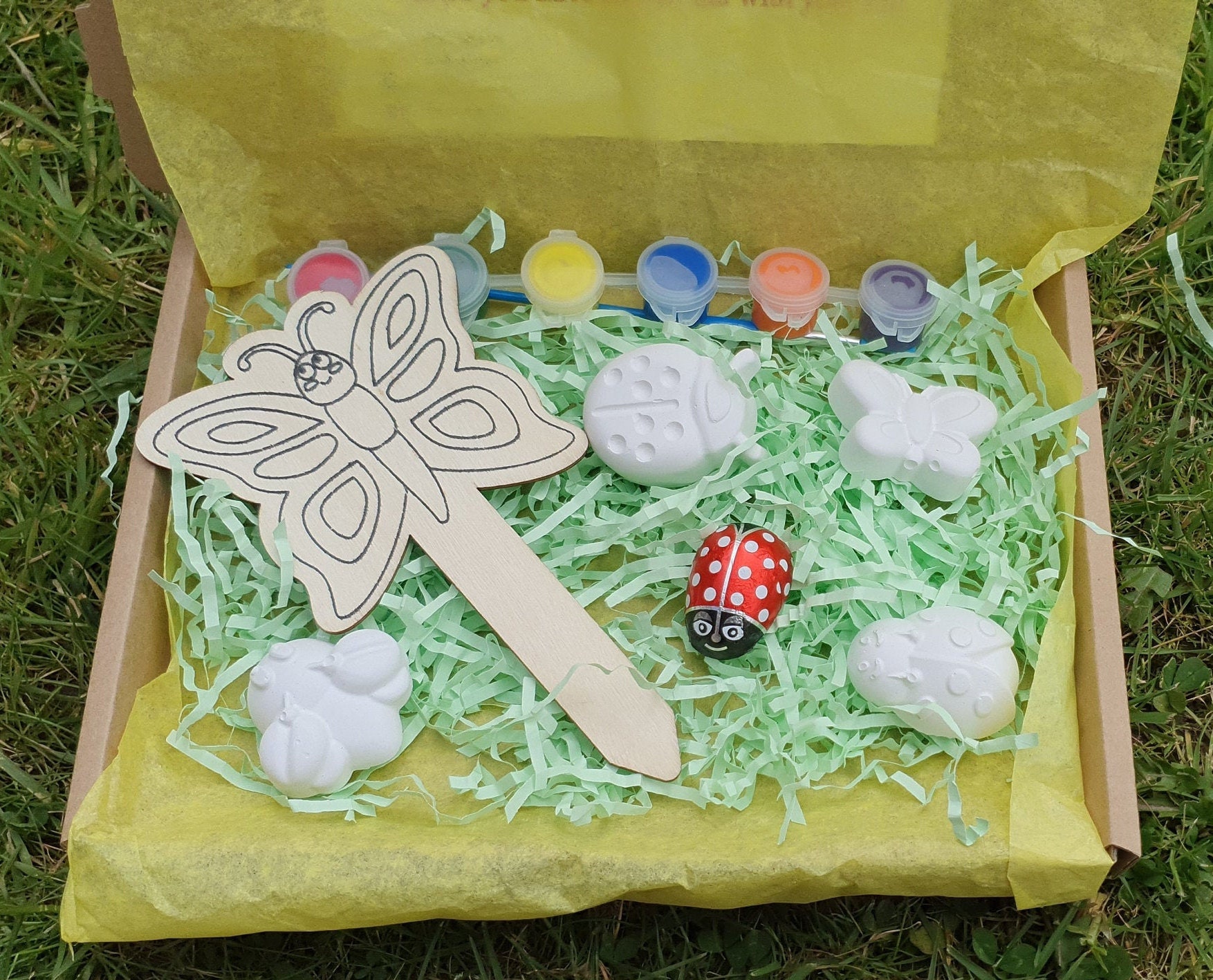 Mini Beast Paint Your Own Craft Kits. Ladybirds/butterfly/gift Ideas ...