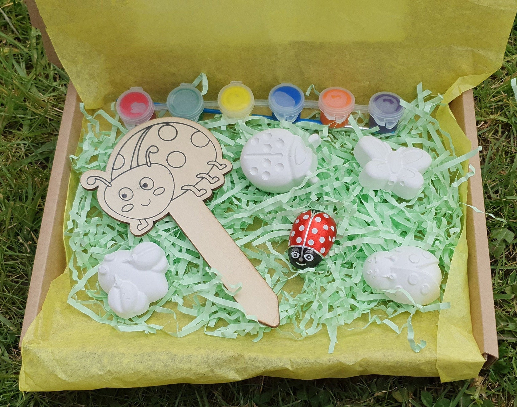 Mini Beast Paint Your Own Craft Kits. Ladybirds/butterfly/gift Ideas ...