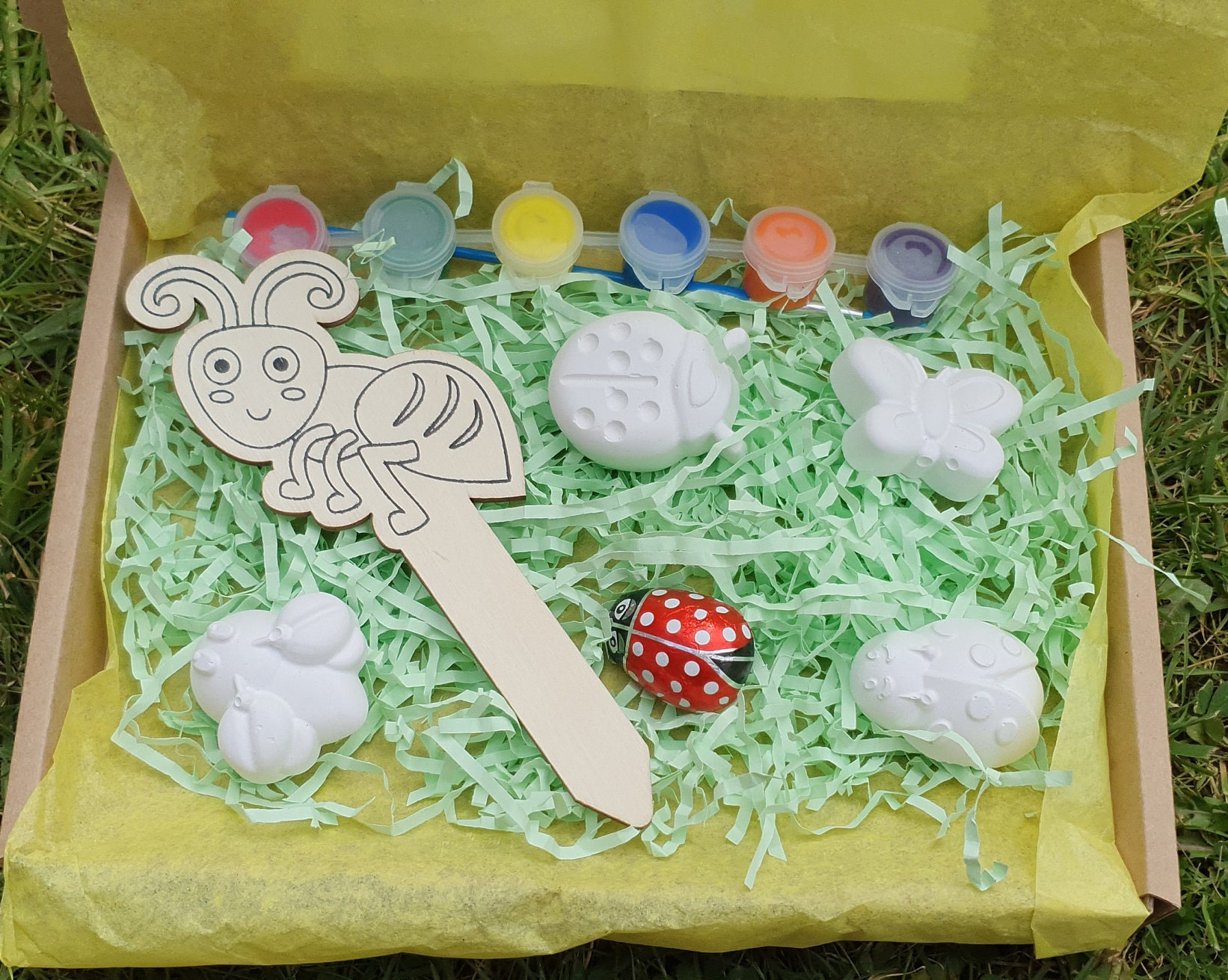 Mini Beast Paint Your Own Craft Kits. Ladybirds/butterfly/gift Ideas ...