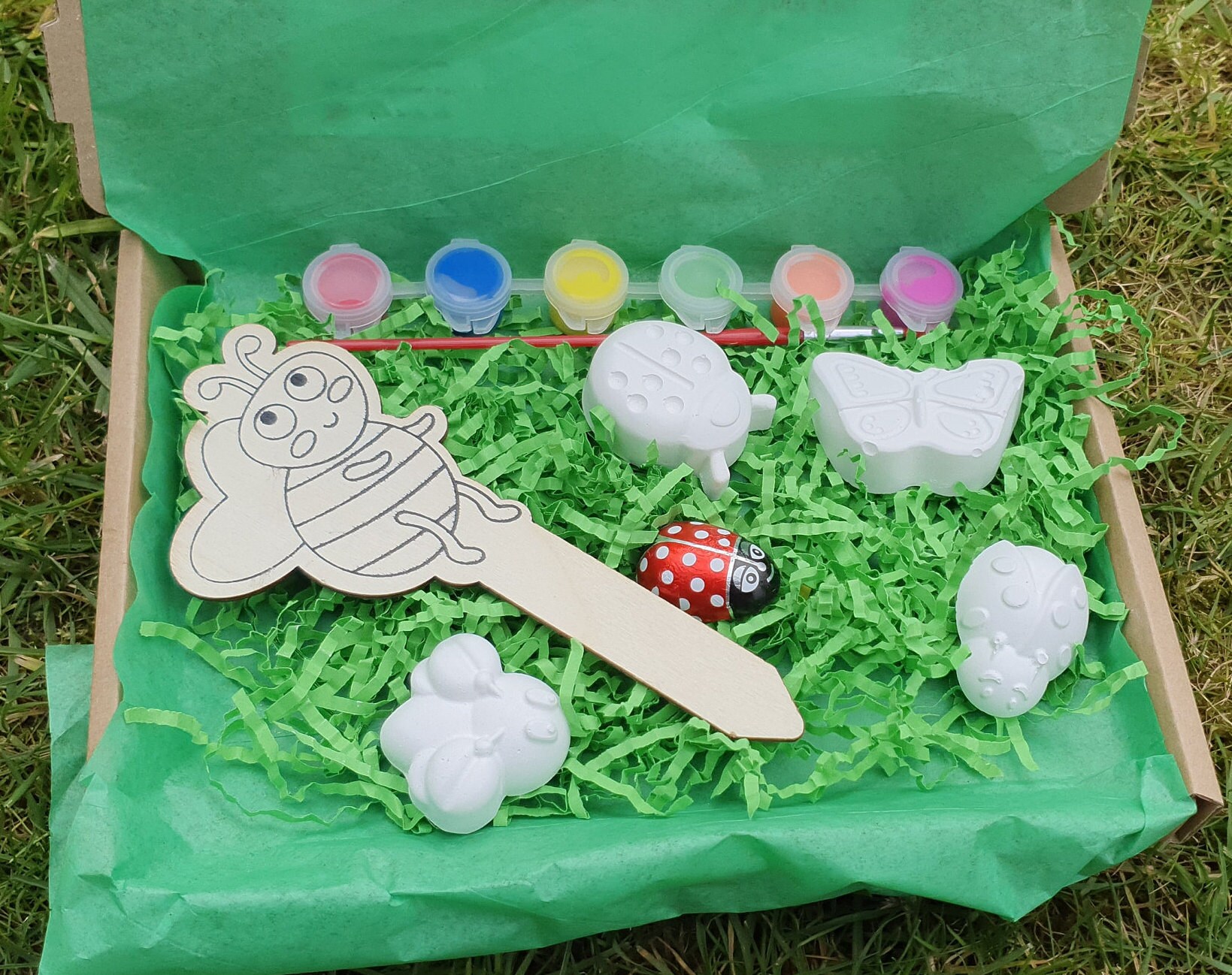 Mini Beast Paint Your Own Craft Kits. Ladybirds/butterfly/gift Ideas ...