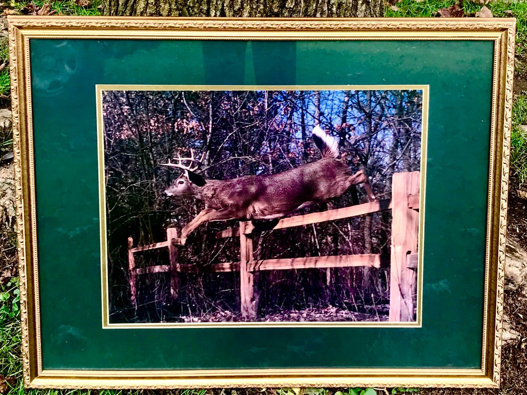 Monster Buck Rustic Wildlife Interior Wall Art Decor - Etsy