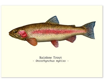 Rainbow Fish Poster - Etsy